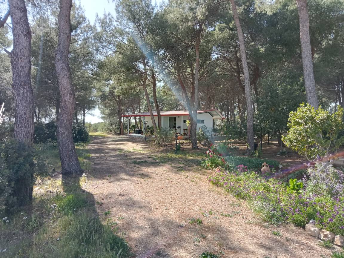 40 M² Appartement ∙ 1 Chambre ∙ 3 Personnes - Maruggio