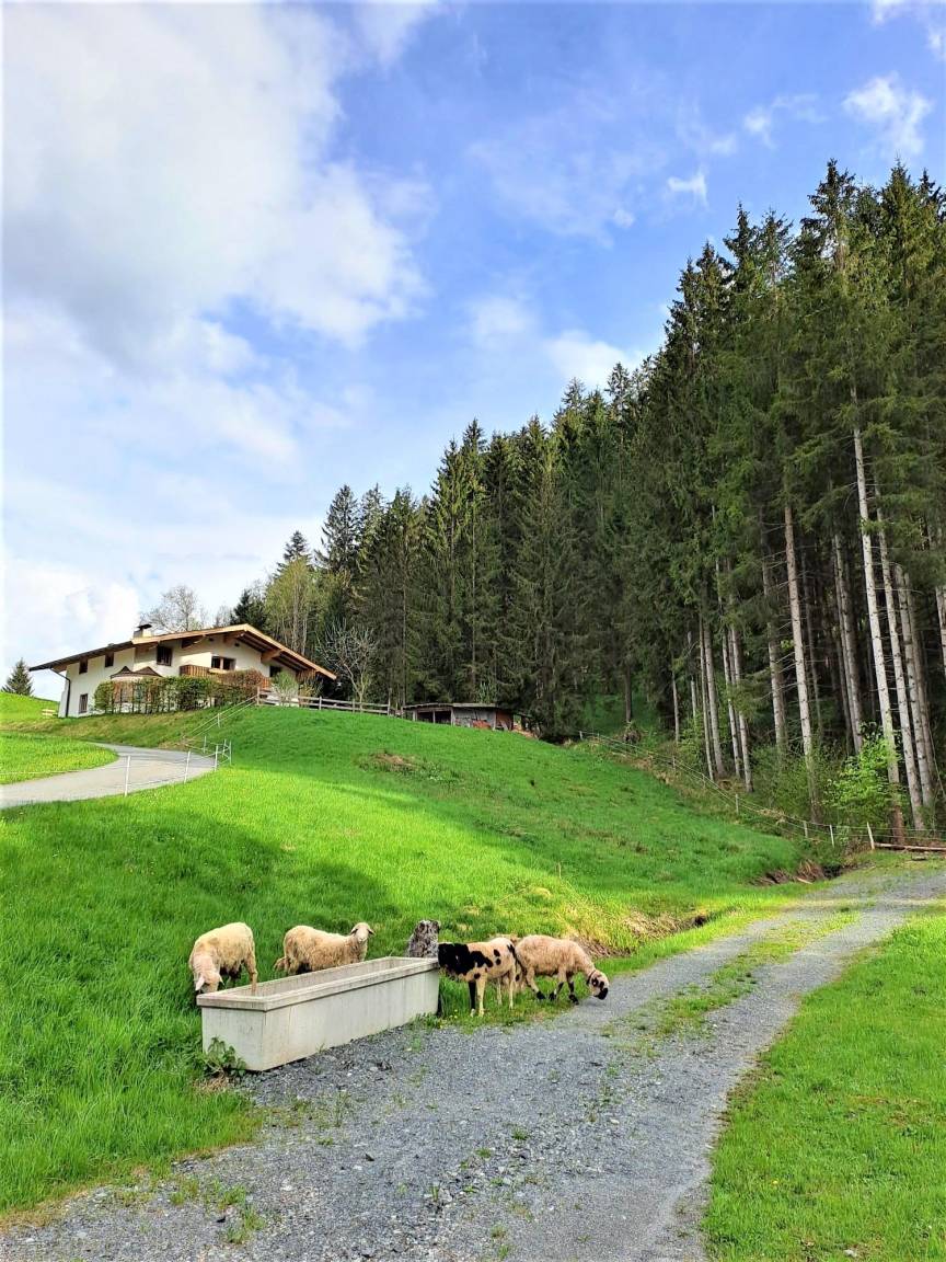 90 M² Ferienwohnung ∙ 3 Schlafzimmer ∙ 6 Gäste - Going am Wilden Kaiser