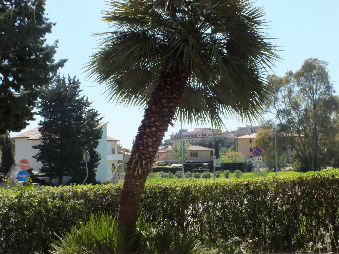 55 M² Apartment ∙ 2 Bedrooms ∙ 6 Guests - Marina di Campo