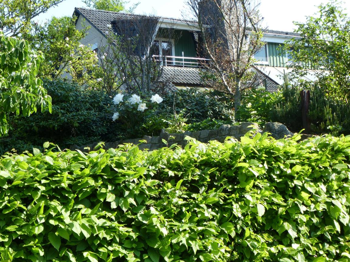 65 M² Ferienwohnung ∙ 2 Schlafzimmer ∙ 4 Gäste - Winsen (Aller)