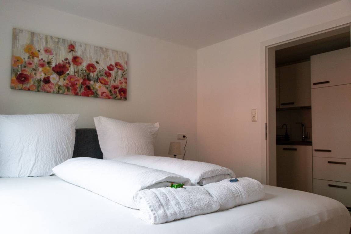 60 M² Apartment ∙ 1 Bedroom ∙ 3 Guests - Bregenz