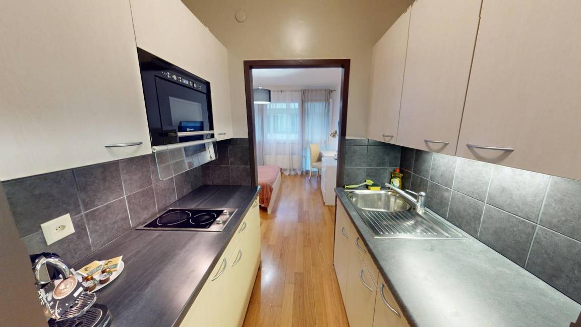 24 M² Apartment ∙ 1 Guest - Geneva