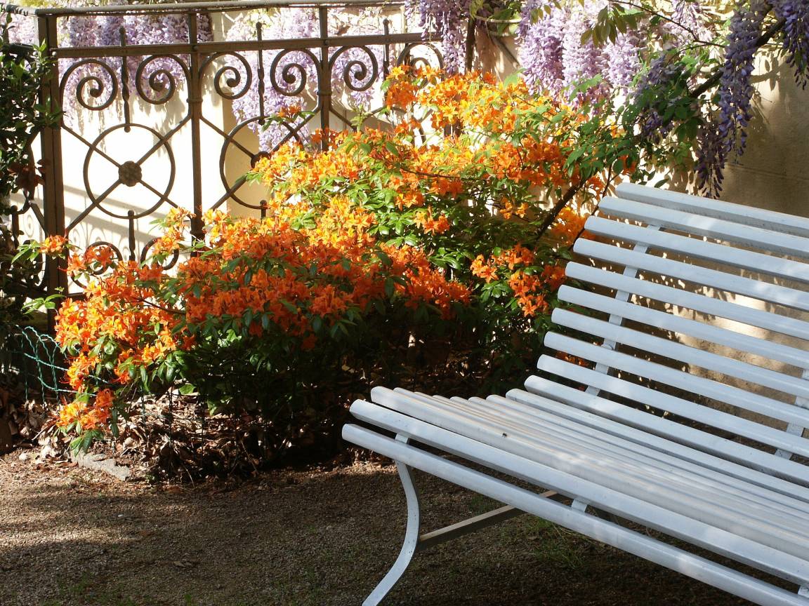 82 M² Appartement ∙ 1 Chambre ∙ 4 Personnes - Rheinfelden