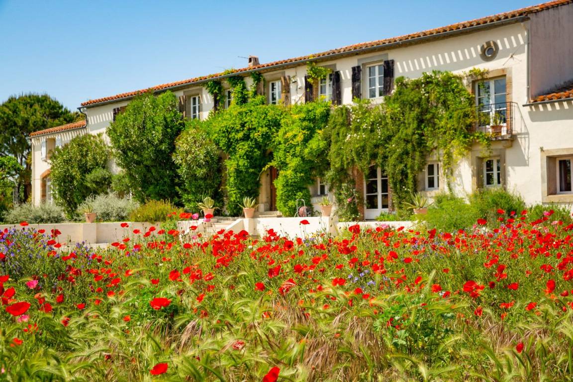 Villa ∙ 8 Chambres ∙ 16 Personnes - Aude