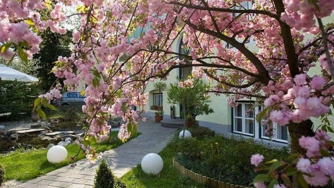 25 M² Hotel ∙ 1 Bedroom ∙ 2 Guests - Salzburg