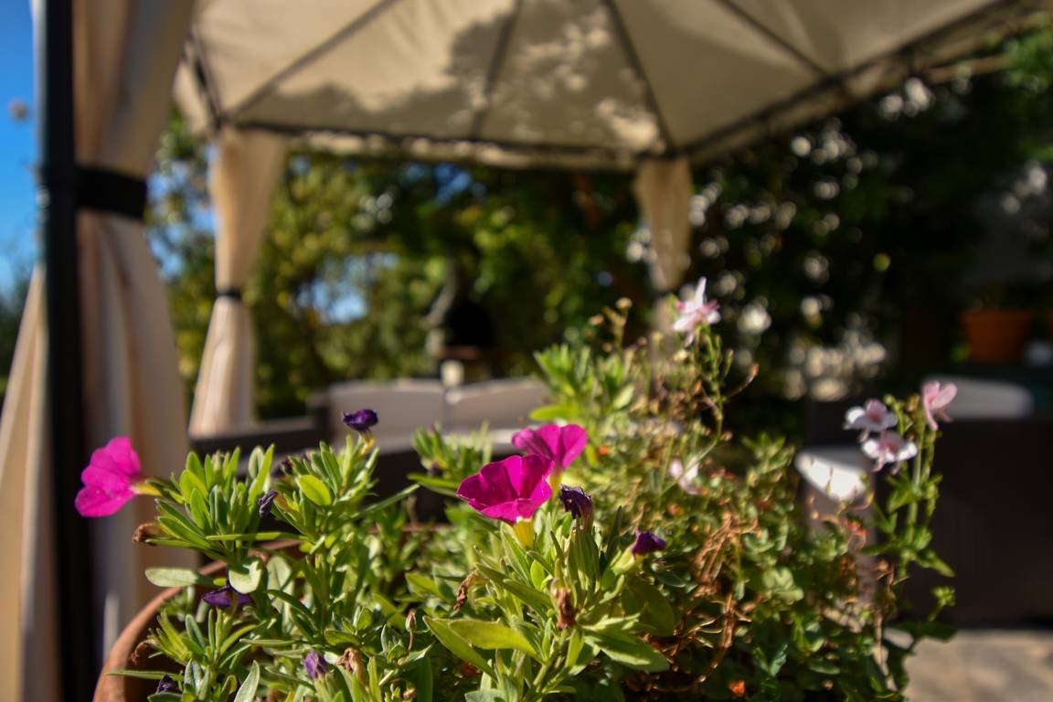 80 M² Apartment ∙ 3 Bedrooms ∙ 6 Guests - Rab