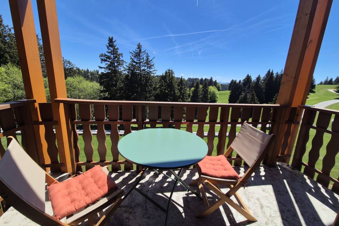 Appartement ∙ 1 Chambre ∙ 4 Personnes - Aix-les-Bains