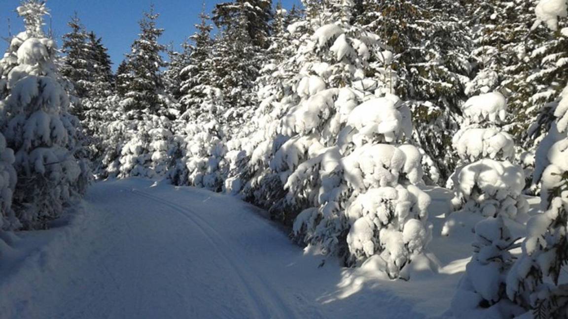 35 M² Apartament ∙ 2 Gości - Königsee