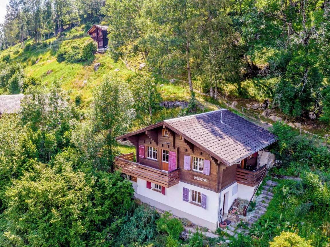 Ferienwohnung ∙ 3 Schlafzimmer ∙ 7 Gäste - Fiesch