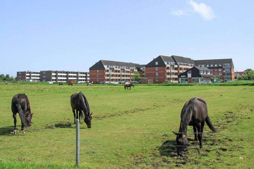 50 M² Apartment ∙ 1 Bedroom ∙ 2 Guests - Borkum