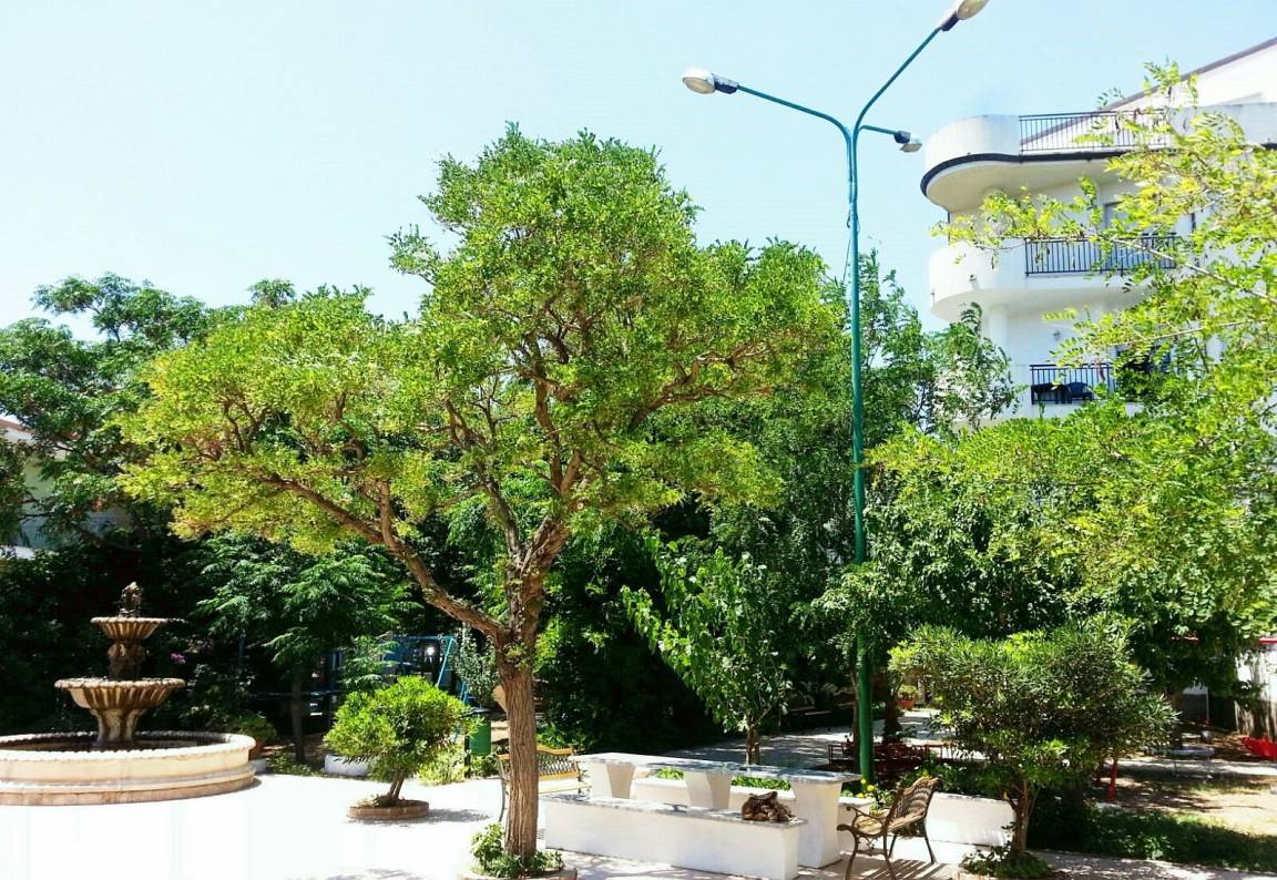 60 M² Apartment ∙ 1 Bedroom ∙ 5 Guests - Melissa