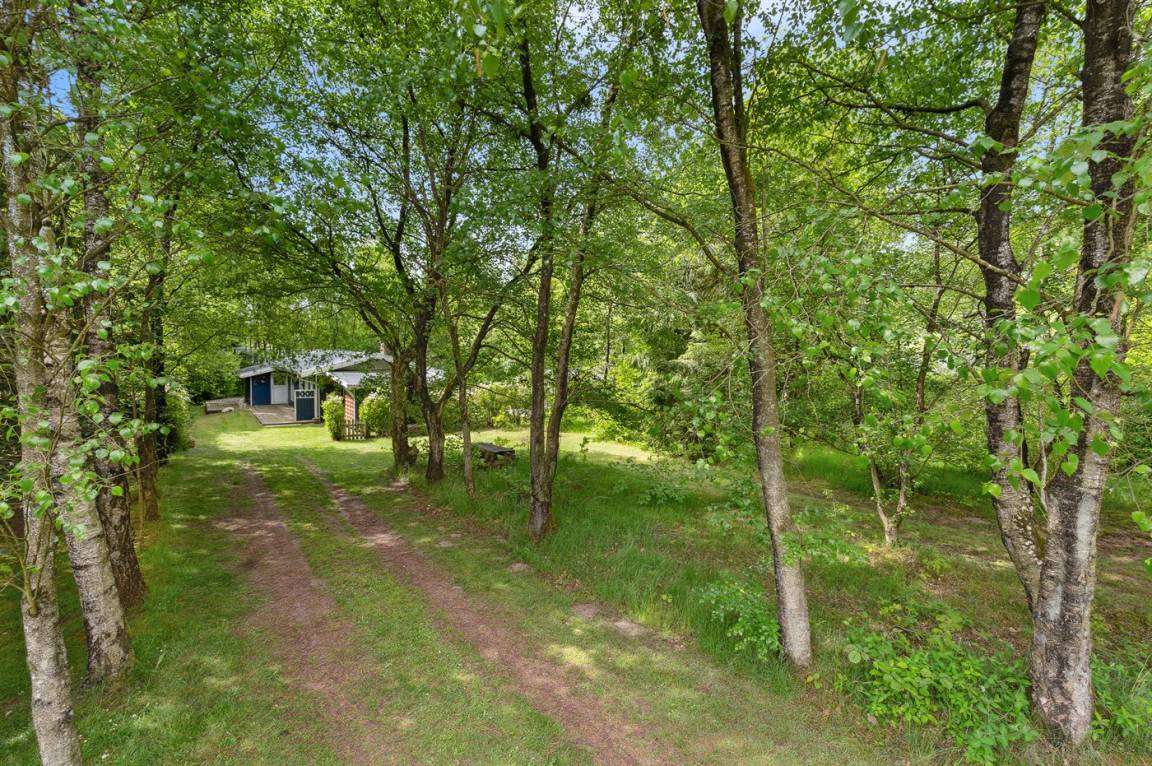 68 M² Ferienhaus ∙ 3 Schlafzimmer ∙ 6 Gäste - Arrild