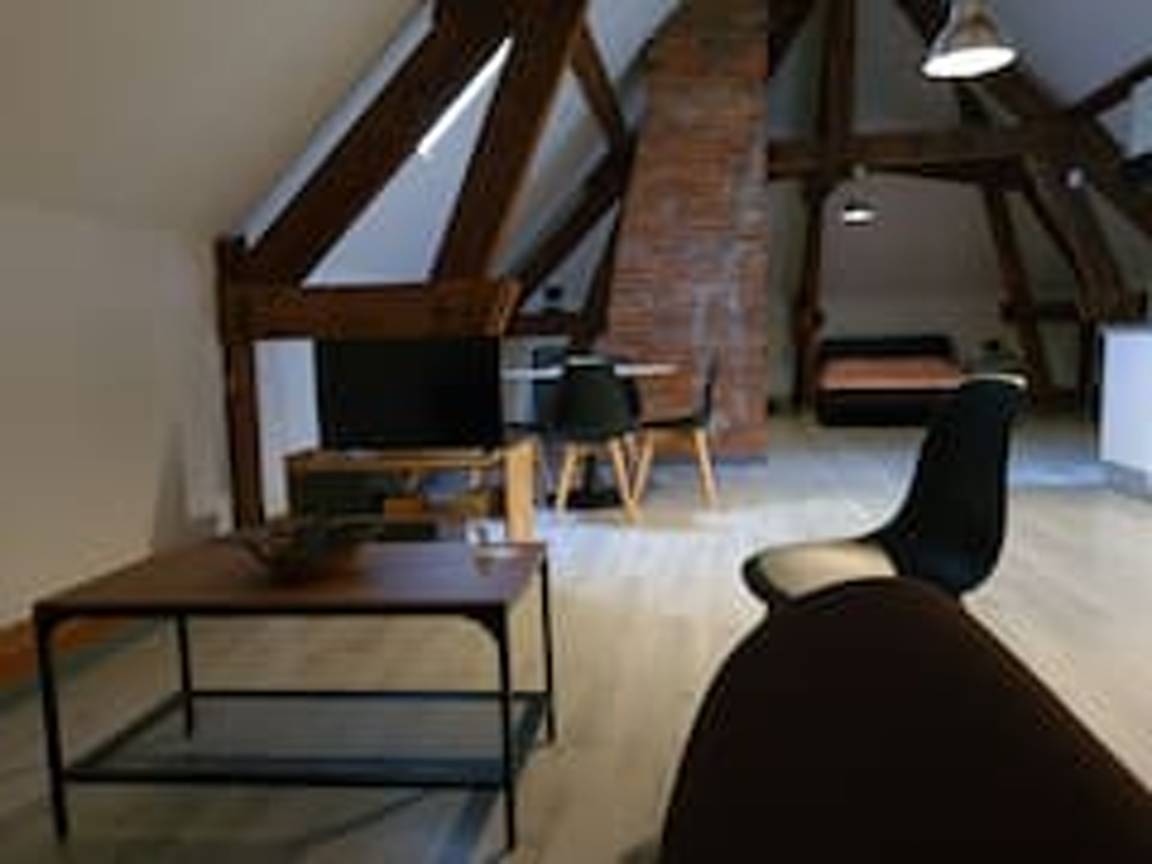60 M² Appartement ∙ 1 Chambre ∙ 3 Personnes - Beaugency