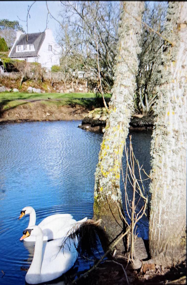 80 M² Maison De Vacances ∙ 3 Chambres ∙ 6 Personnes - Plougonvelin