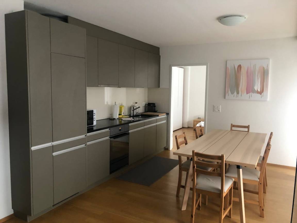 49 M² Appartement ∙ 1 Chambre ∙ 4 Personnes - Canton de Zürich