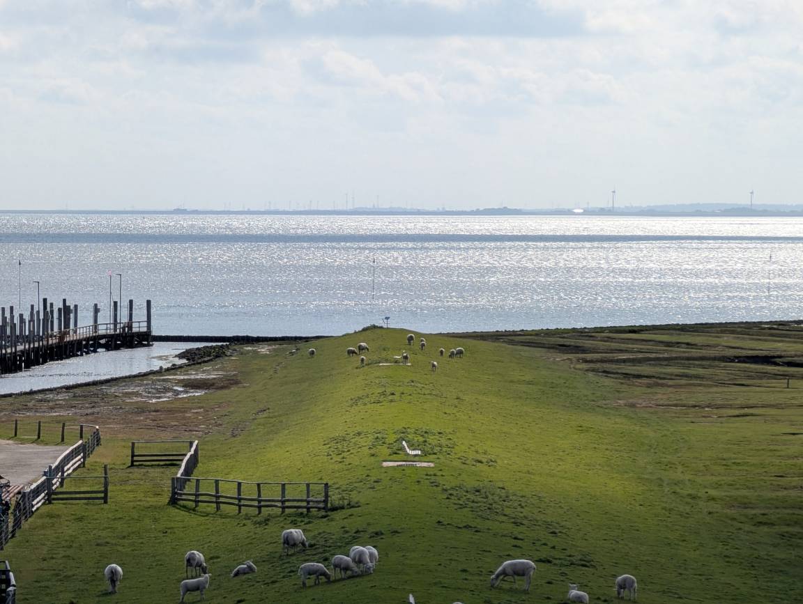 81 M² Appartement ∙ 2 Chambres ∙ 4 Personnes - Pellworm