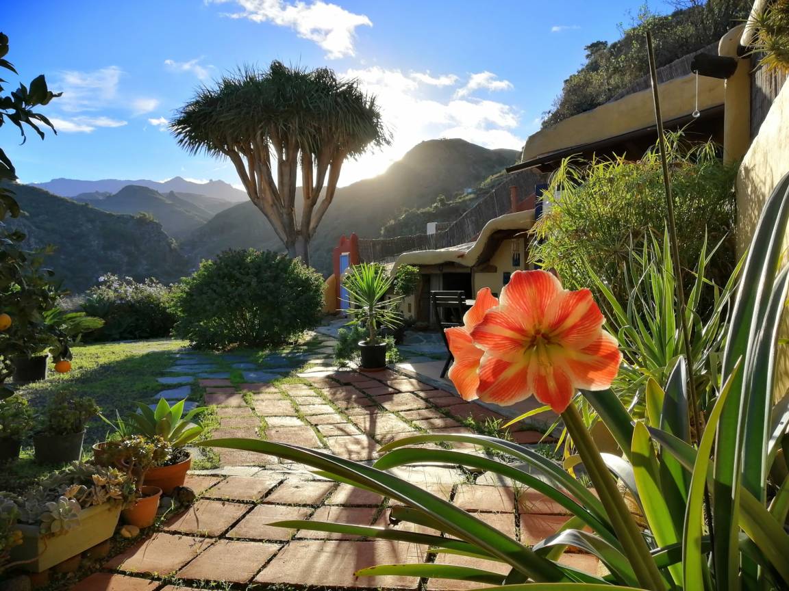 50 M² Casa Rural ∙ 1 Habitación ∙ 3 Huéspedes - Gran Canaria