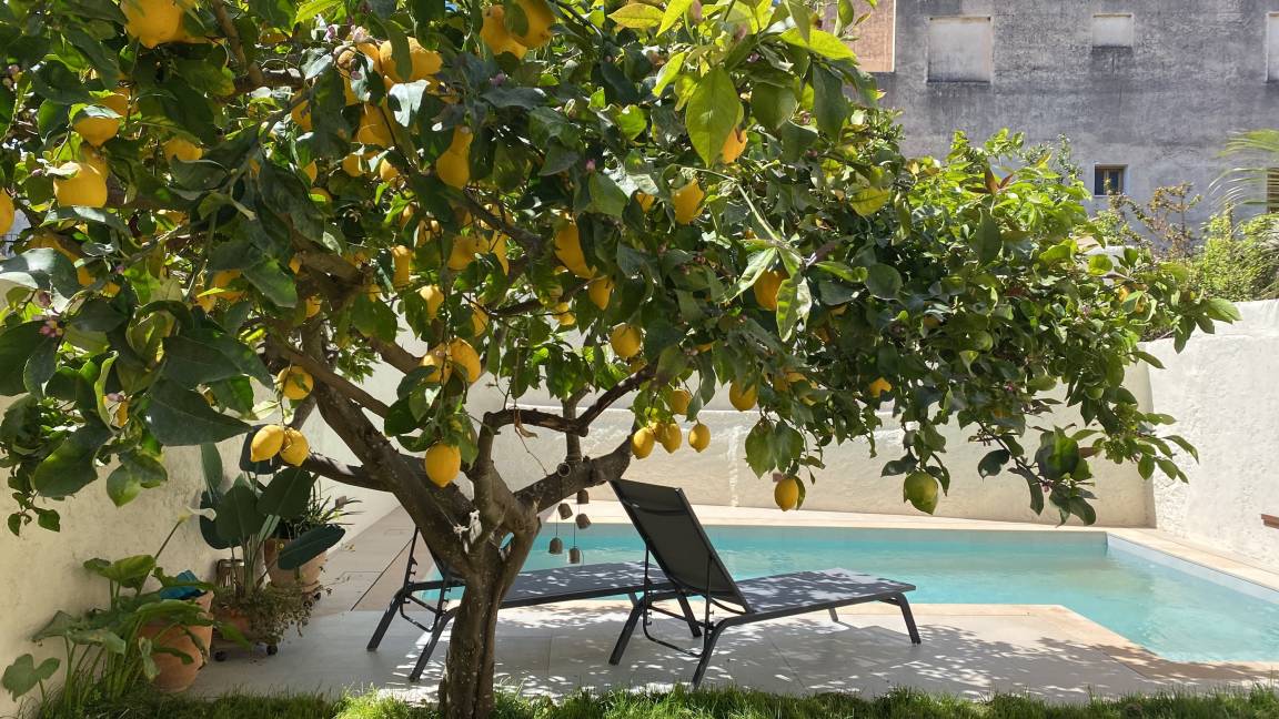 230 M² House ∙ 3 Bedrooms ∙ 6 Guests - Manacor