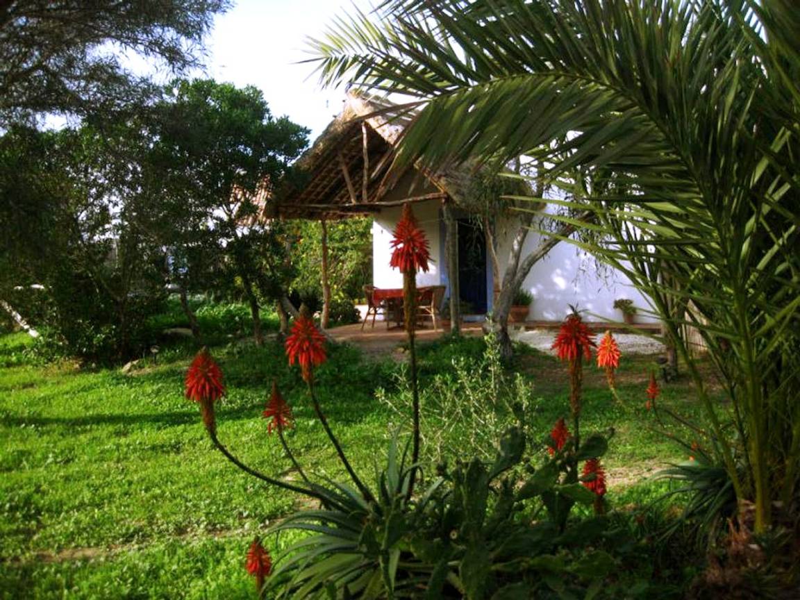 House ∙ 1 Bedroom ∙ 2 Guests - Los Caños de Meca