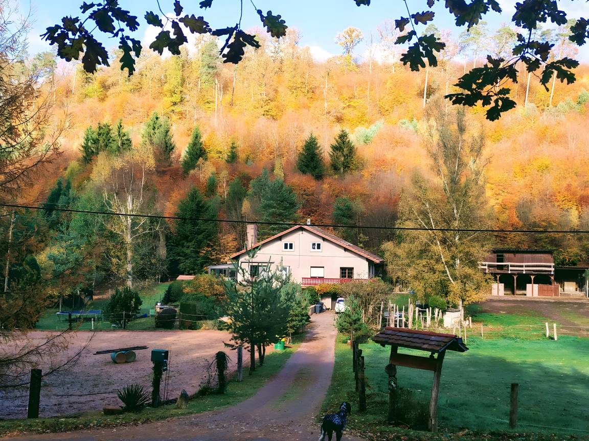 100 M² Ferienhaus ∙ 2 Schlafzimmer ∙ 6 Gäste - Bitsch