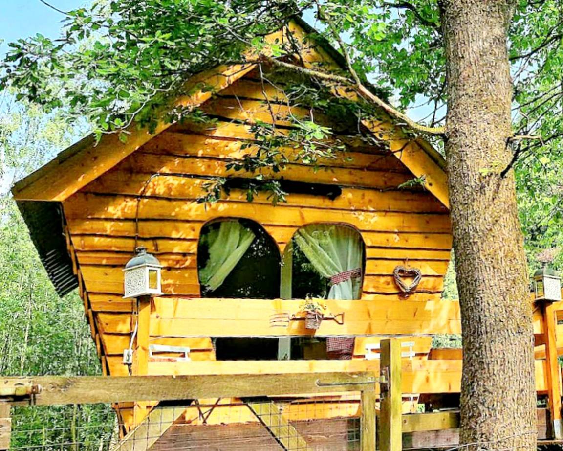 Campeggio ∙ 1 Camera Da Letto ∙ 2 Ospiti - Profondeville