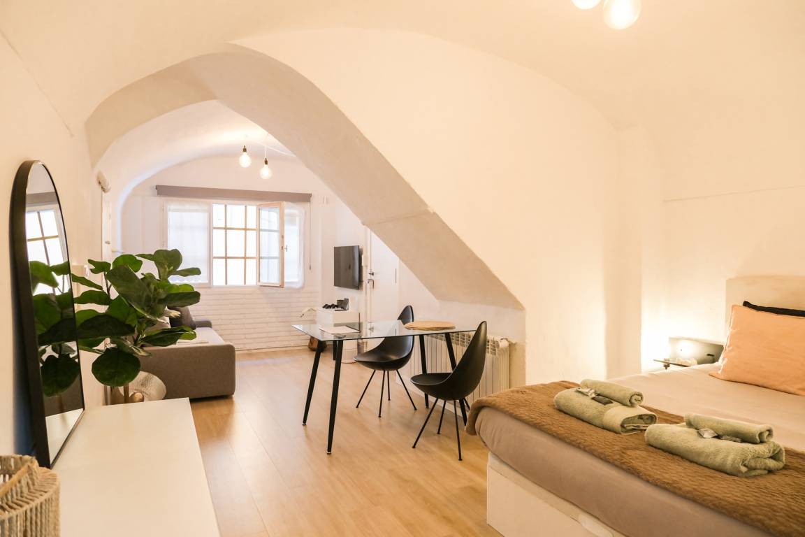 55 M² Apartment ∙ 1 Bedroom ∙ 4 Guests - Besalú
