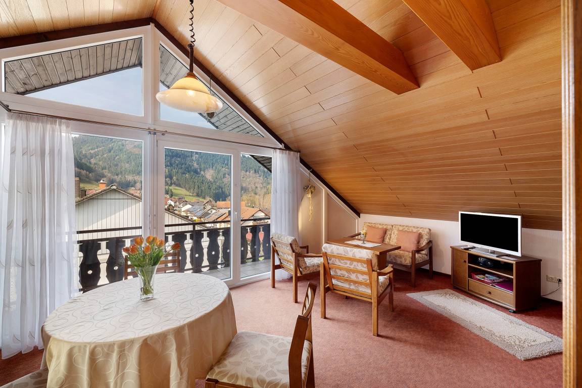 45 M² Apartment ∙ 1 Bedroom ∙ 4 Guests - Wolfach