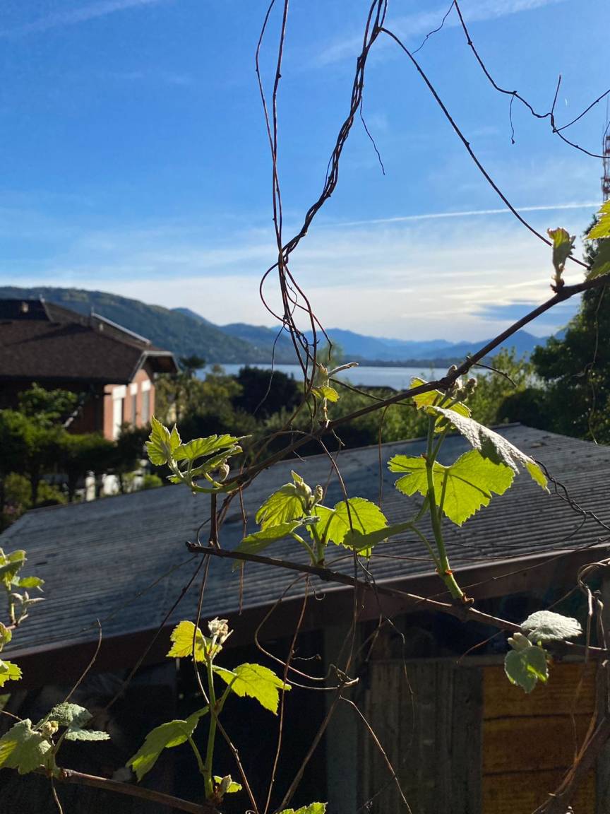 71 M² Appartement ∙ 2 Personnes - Stresa