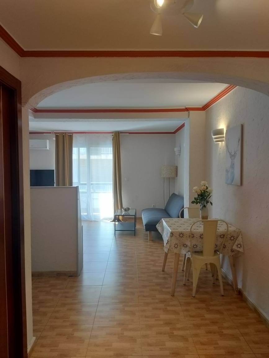 45 M² Aparthotel ∙ 1 Chambre ∙ 3 Personnes - Torrevieja