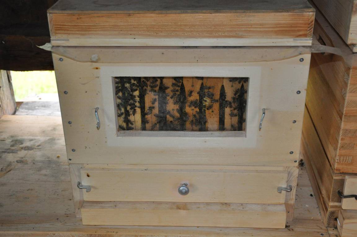 25 M² Hotel ∙ 1 Camera Da Letto ∙ 2 Ospiti - Flachauwinkl