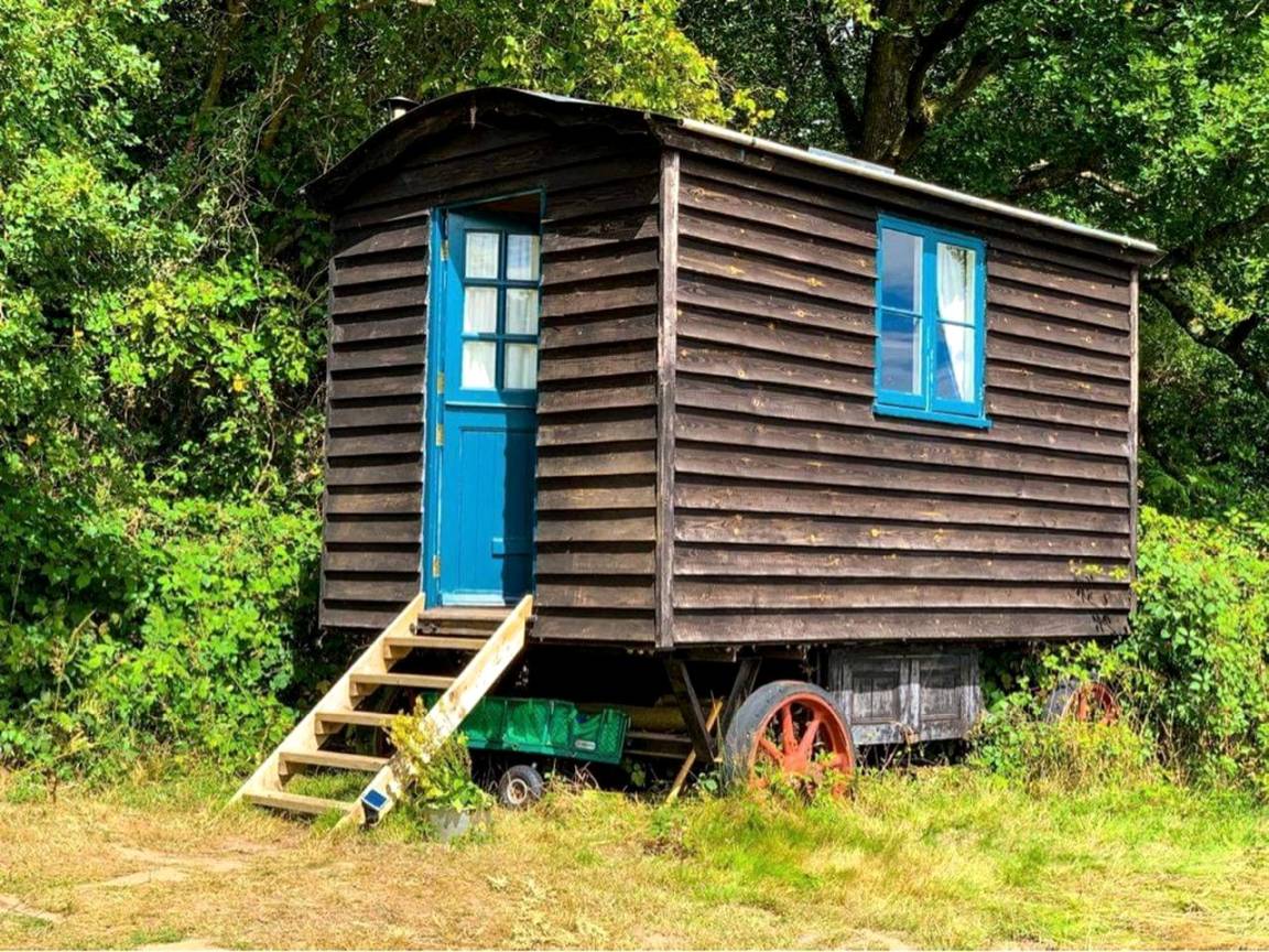 Camping ∙ 1 Bedroom ∙ 3 Guests - West Sussex