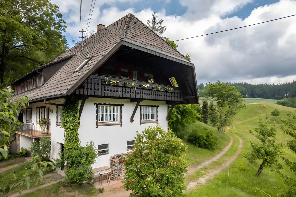 55 M² Ferienwohnung ∙ 1 Schlafzimmer ∙ 2 Gäste - Oppenau, Deutschland