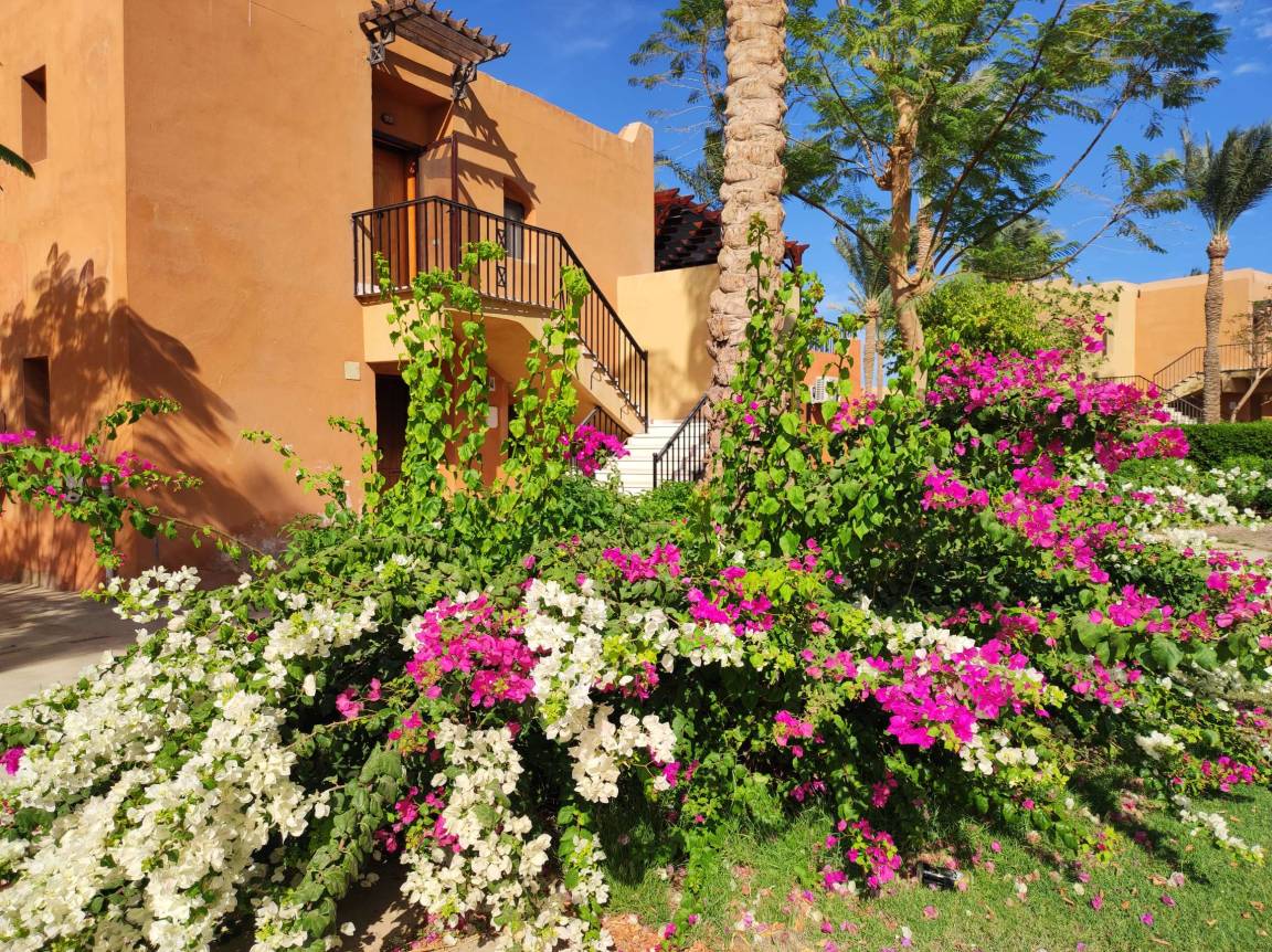126 M² Apartamento ∙ 3 Habitaciones ∙ 5 Huéspedes - Egipto
