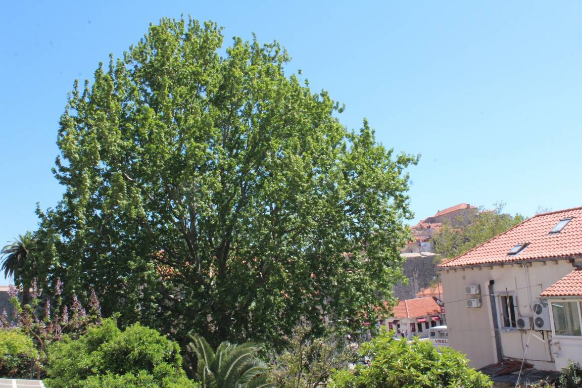 House ∙ 1 Bedroom ∙ 1 Guest - Dubrovnik