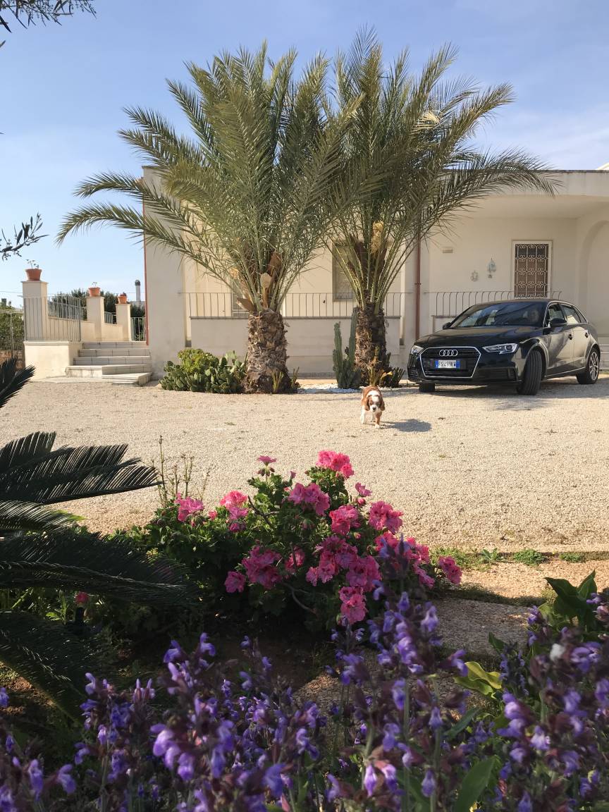 200 M² Villa ∙ 4 Schlafzimmer ∙ 14 Gäste - Racale