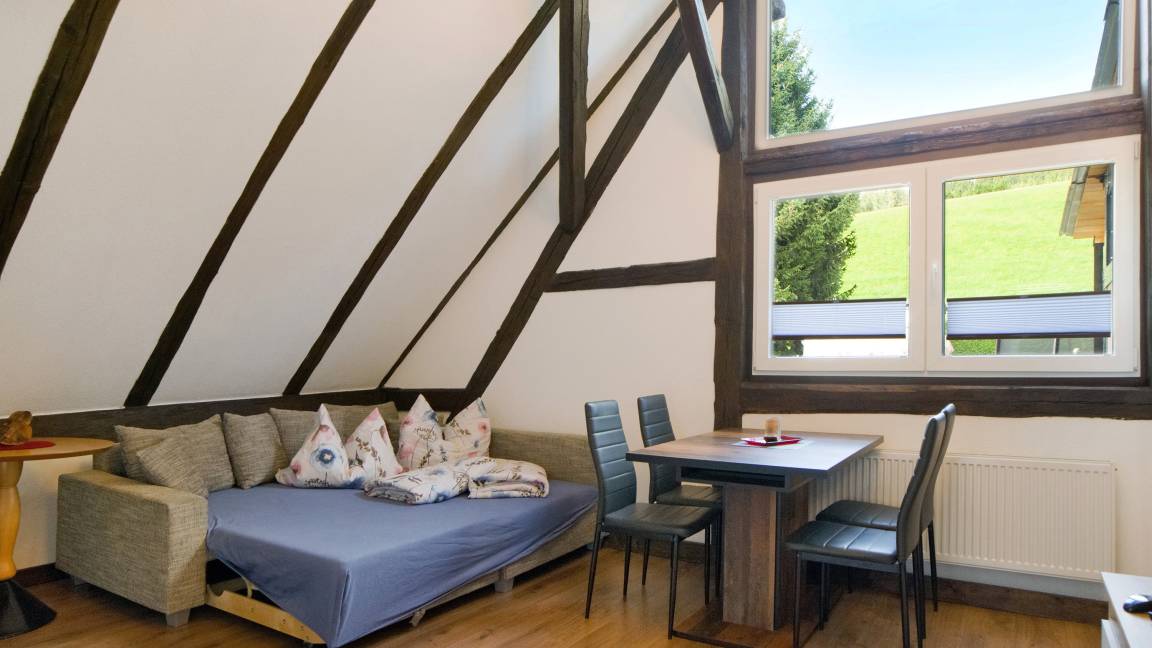 40 M² Apartamento ∙ 1 Habitación ∙ 4 Huéspedes - Titisee-Neustadt