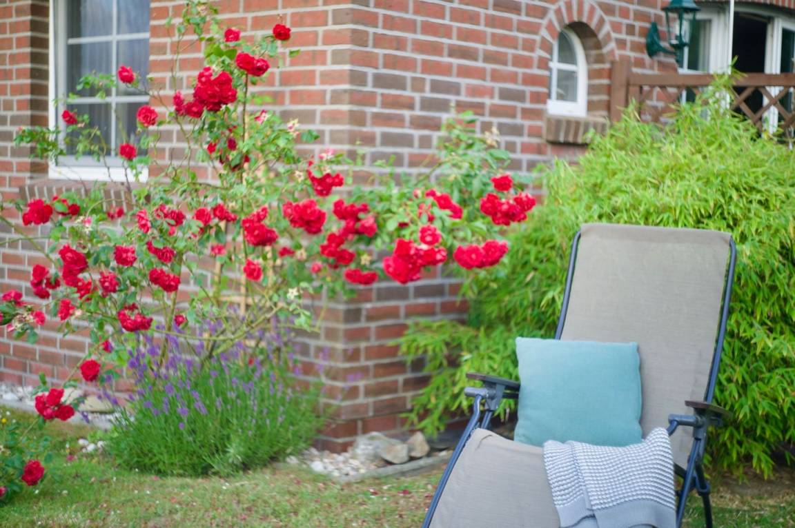 100 M² Ferienhaus ∙ 3 Schlafzimmer ∙ 6 Gäste - Greetsiel