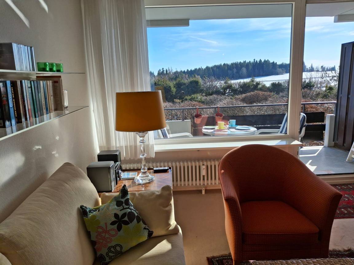 55 M² Apartment ∙ 1 Bedroom ∙ 2 Guests - Höchenschwand