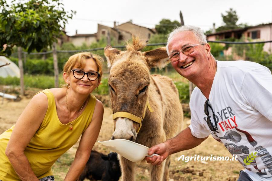 80 M² Farmhouse ∙ 2 Bedrooms ∙ 5 Guests - Passignano sul Trasimeno