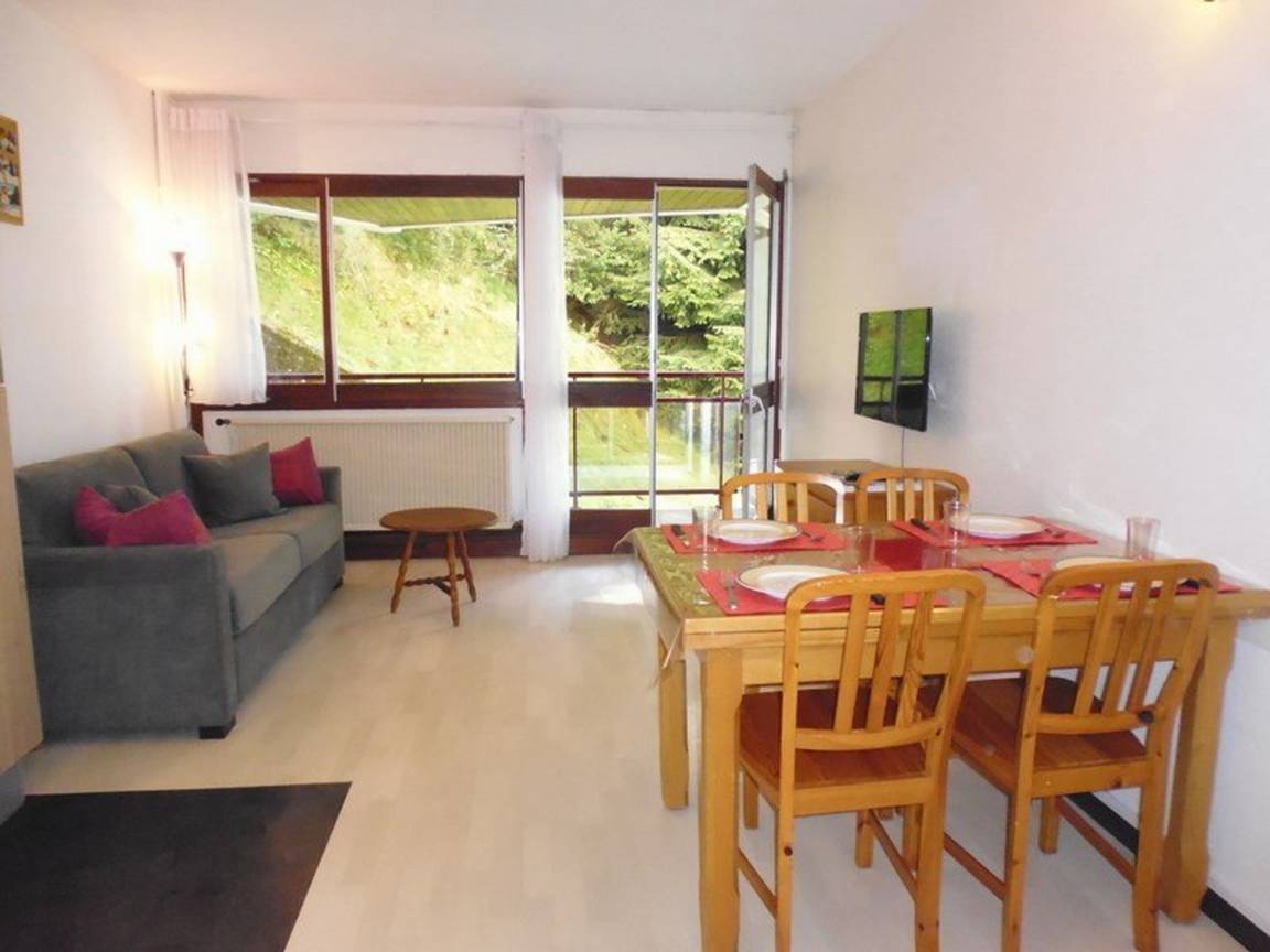 30 M² Estudio ∙ 1 Habitación ∙ 4 Huéspedes - Gourette
