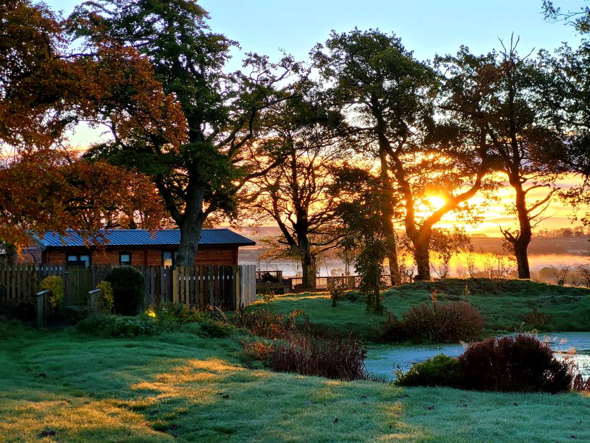 40 M² Cabin ∙ 1 Bedroom ∙ 2 Guests - Dumfries and Galloway