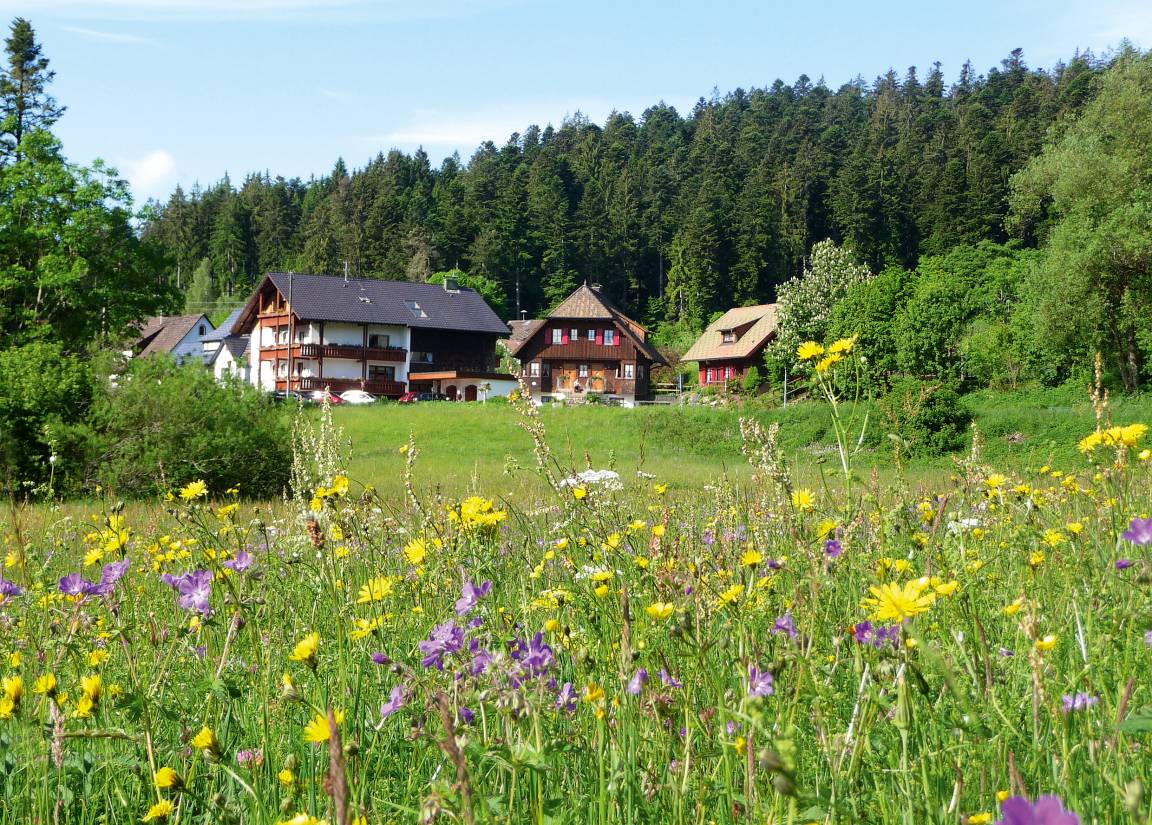 50 M² Ferienwohnung ∙ 1 Schlafzimmer ∙ 2 Gäste - Waldachtal