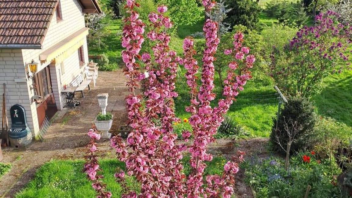 50 M² Apartamento ∙ 1 Habitación ∙ 2 Huéspedes - Saarburg