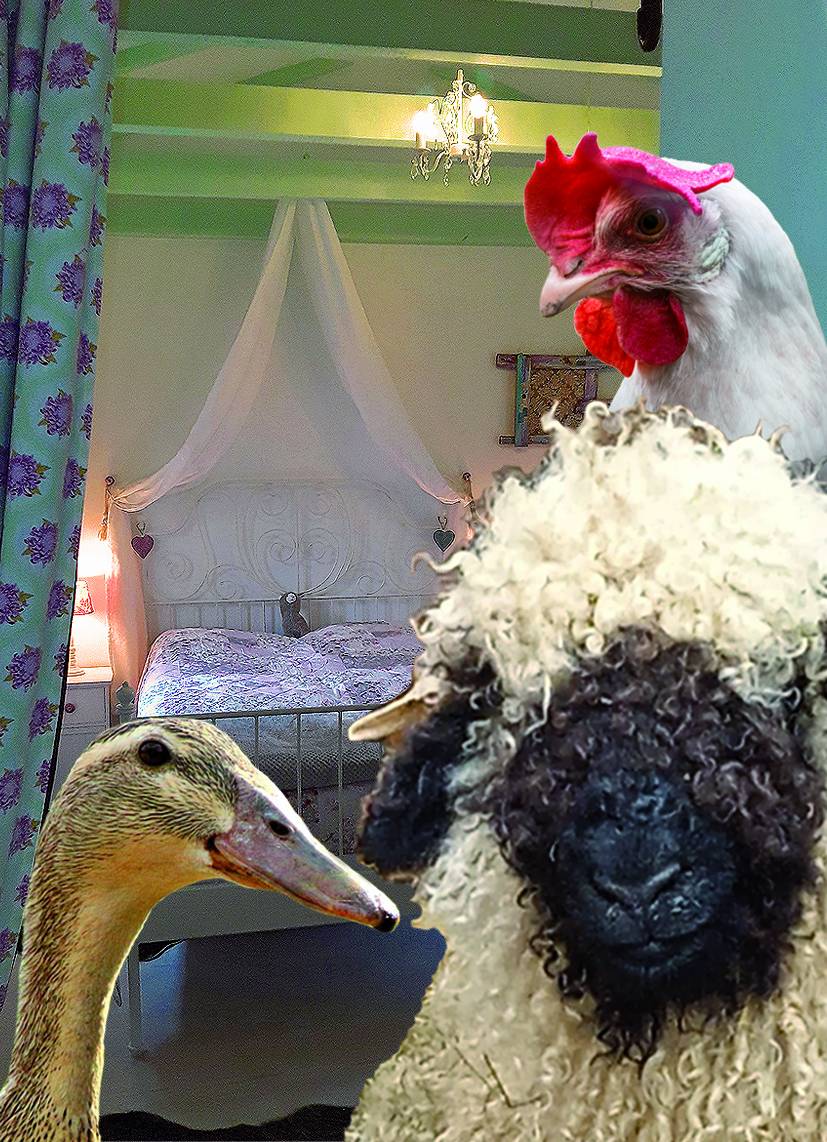 33 M² Bauernhof ∙ 1 Schlafzimmer ∙ 2 Gäste - Niedersachsen