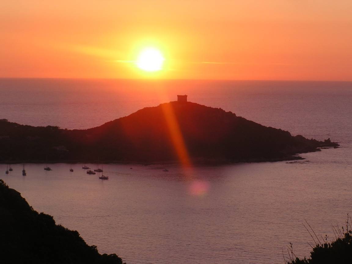 30 M² Appartement ∙ 1 Slaapkamer ∙ 3 Gasten - Belvédère-Campomoro