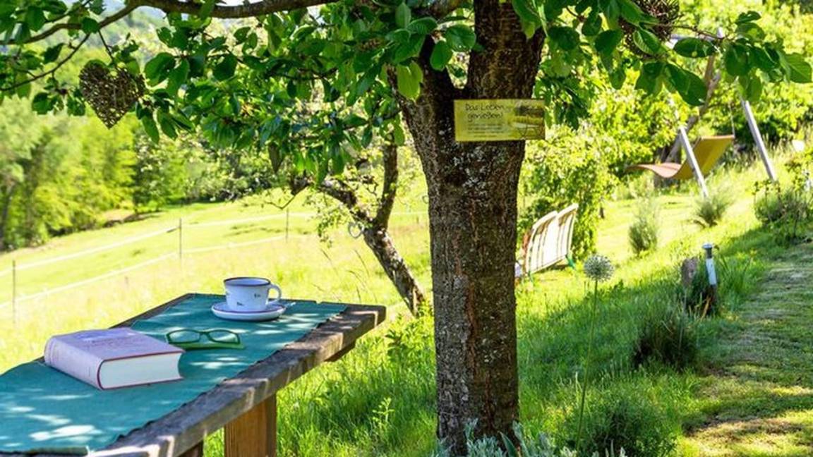 25 M² Hotel ∙ 1 Bedroom ∙ 2 Guests - Szentgotthárd