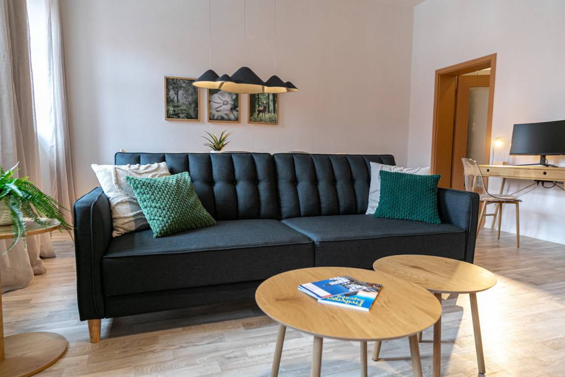 78 M² Apartment ∙ 1 Bedroom ∙ 6 Guests - Freiberg