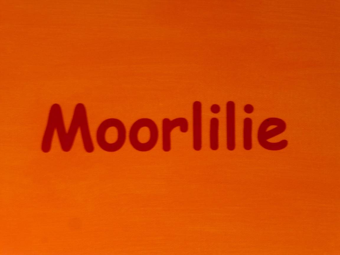 40 M² Ferienwohnung ∙ 1 Schlafzimmer ∙ 2 Gäste - Ostrach