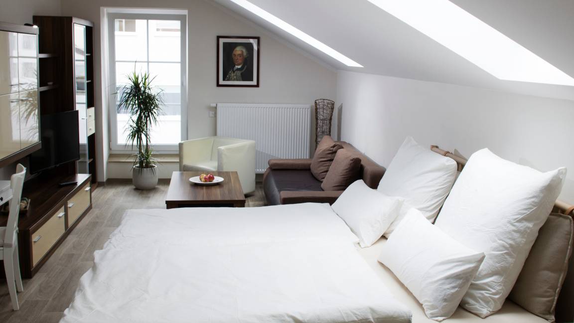 25 M² Ferienwohnung ∙ 1 Schlafzimmer ∙ 3 Gäste - Wurzen