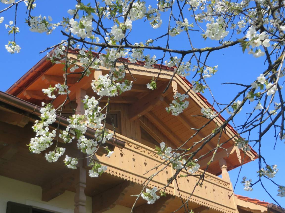 35 M² Appartement ∙ 1 Chambre ∙ 3 Personnes - Bad Tölz